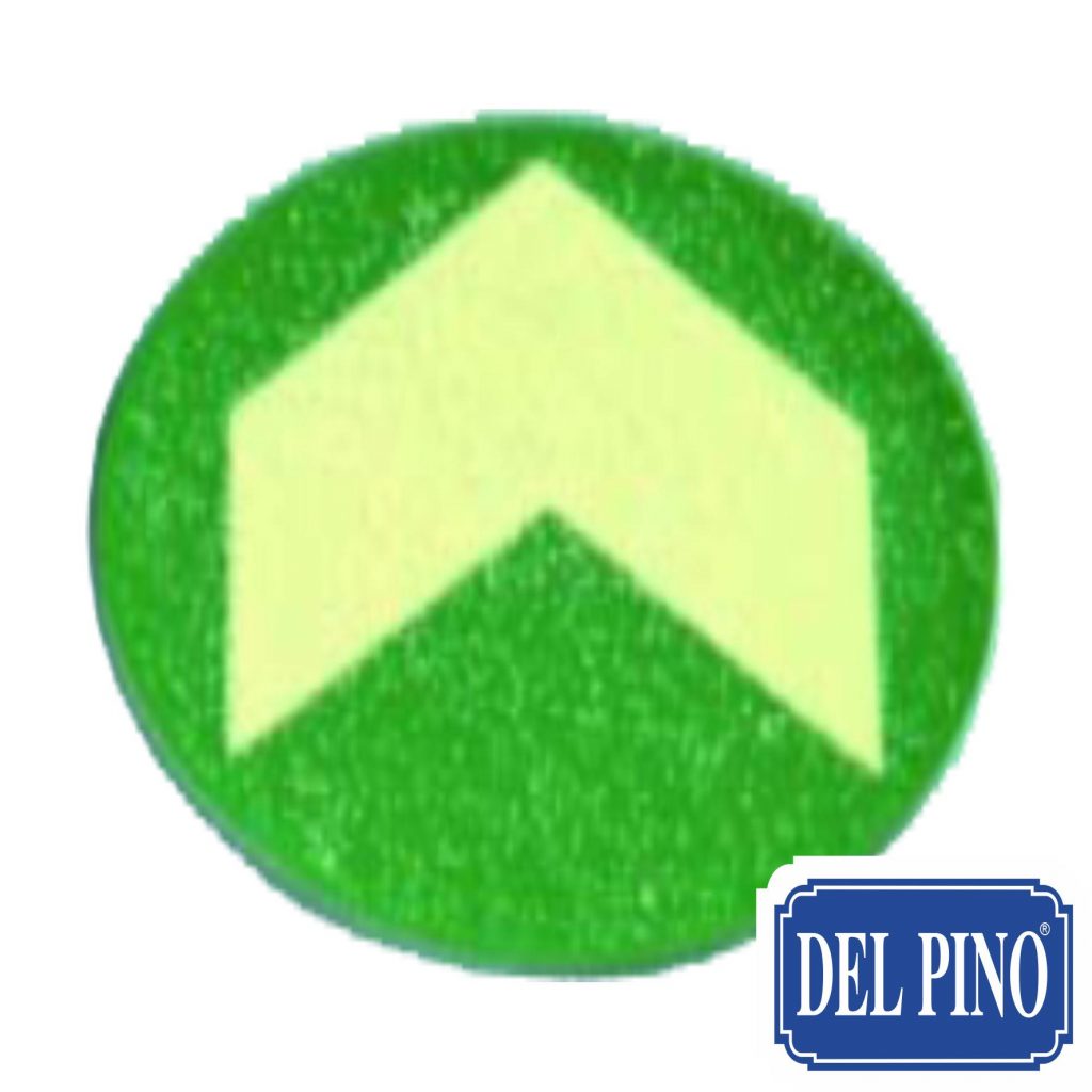 Ever 55 – Señalización fotoluminiscente en sistemas de seguridad – DelPino